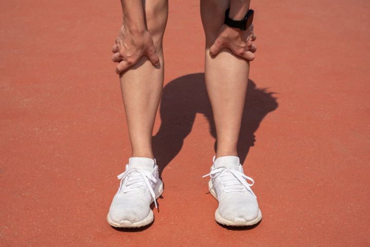 Understanding Muscles on the Shin Bone: Anatomy Explained
